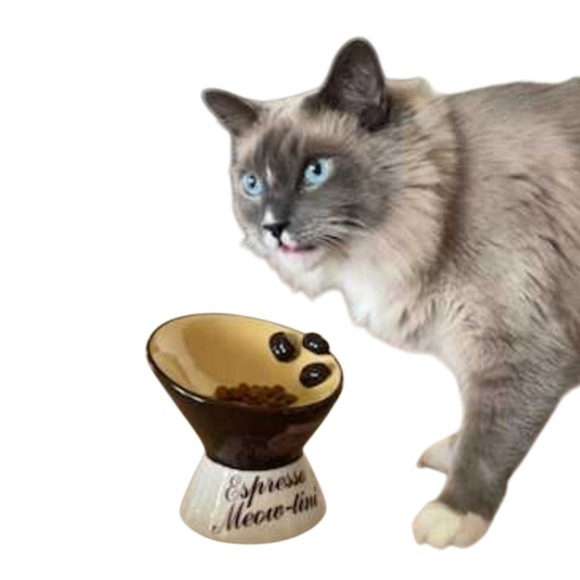 Mellow & Mod | Cat | Mellow Mod Expresso Meow Tini Cat Drinking Water ...